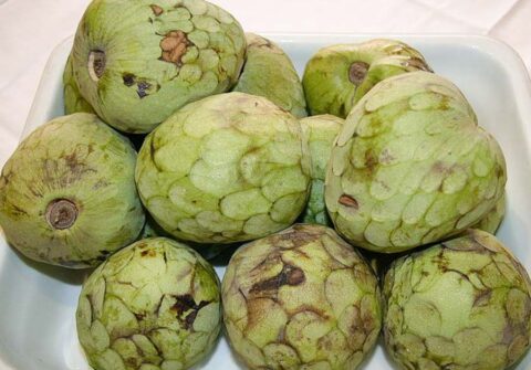 Passion Flowers Grown In Hawaii