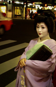 Looking For Geishas In The Gion And Pontocho, Kyoto