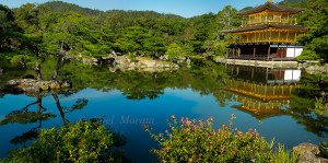 Beautiful Gardens Of Kyoto