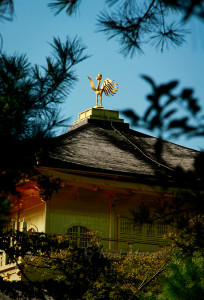 Golden Temple At Kyoto,Travel Photo Mondays #20