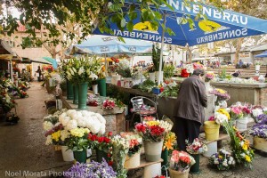 Split, Croatia - the morning fish market