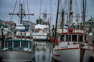 Exploring The Quirky And Cool Attractions In Moss Landing
