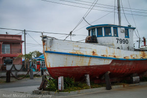 Exploring The Quirky And Cool Attractions In Moss Landing