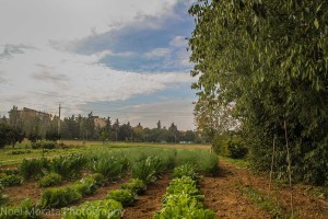 An Agriturismo Farm Tour And Cooking Class In Bologna