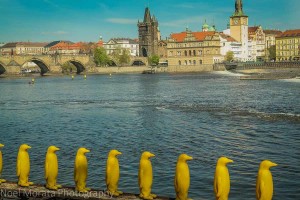 Prague's Public And Street Art Scene