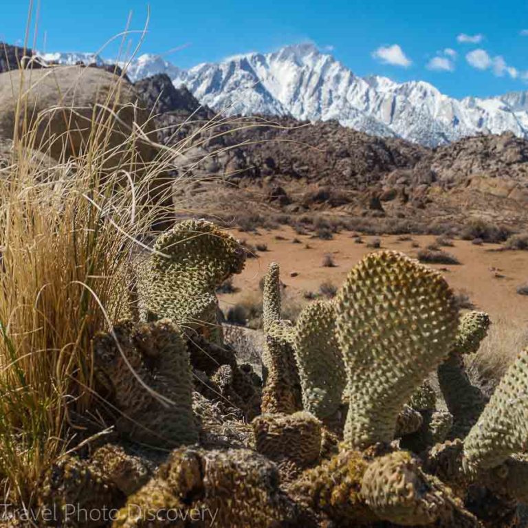 Travel Photo Postcard At Alabama Hills