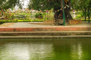 Travel Photo Postcard - Buddha's Birthplace Lumbini