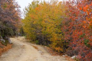 Best places to visit in fall