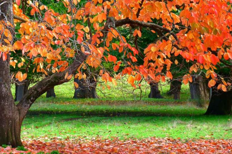 Best Places To Visit In Fall