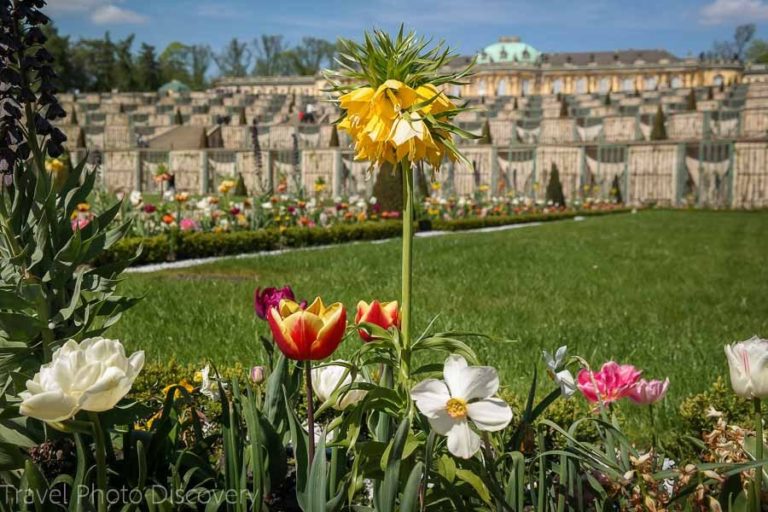 spectacular spring gardens around the world